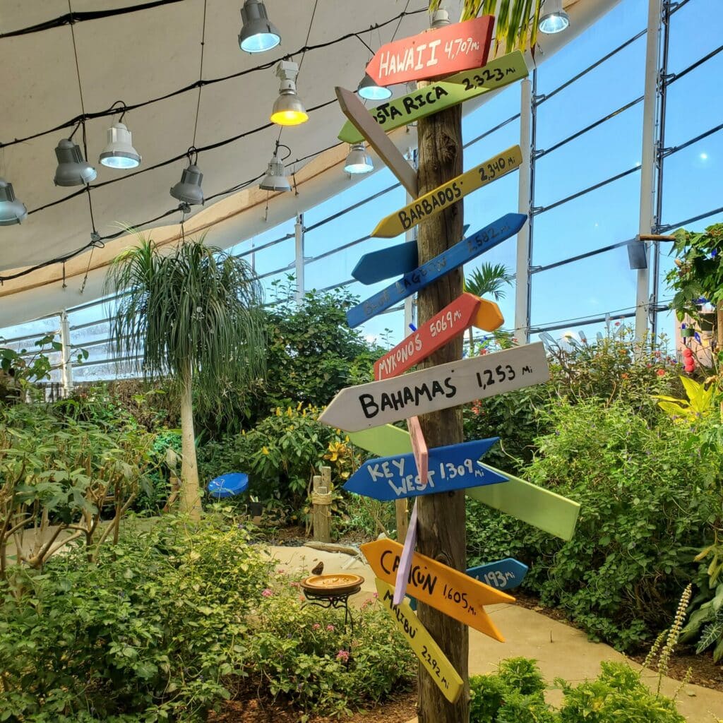 Homepage - The Strong National Museum of Play